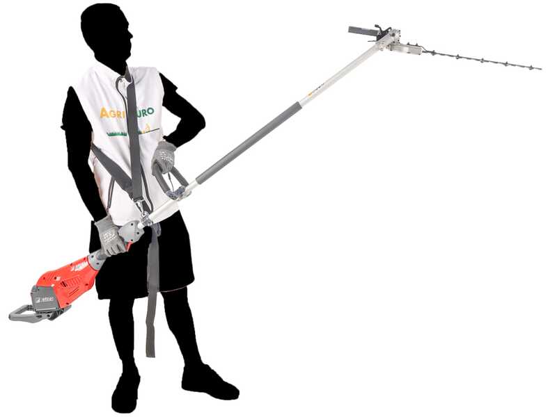 Efco DSi 35 HL - Tagliasiepi a batteria in Offerta