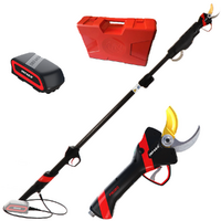 Infaco F3020 - Forbice a batteria su asta in Offerta | AgriEuro